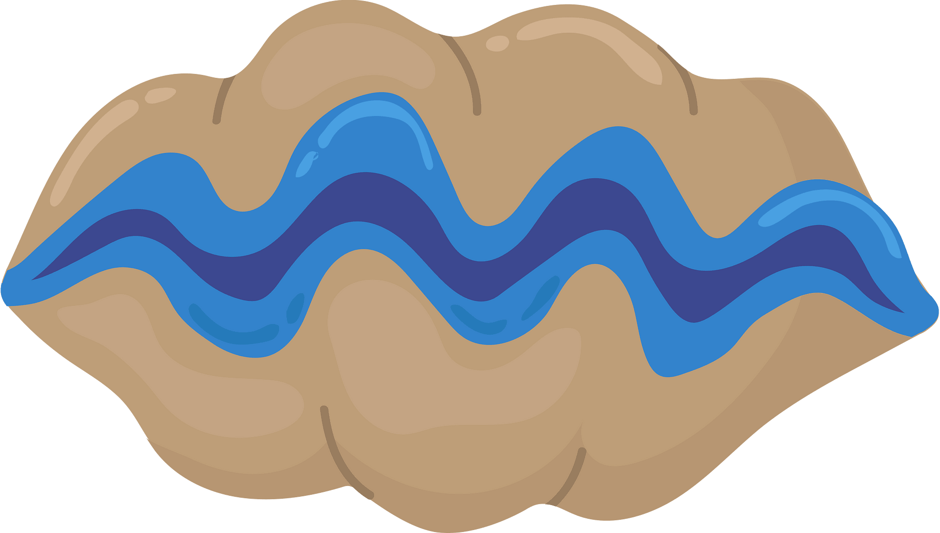 Giant clam cartoon store