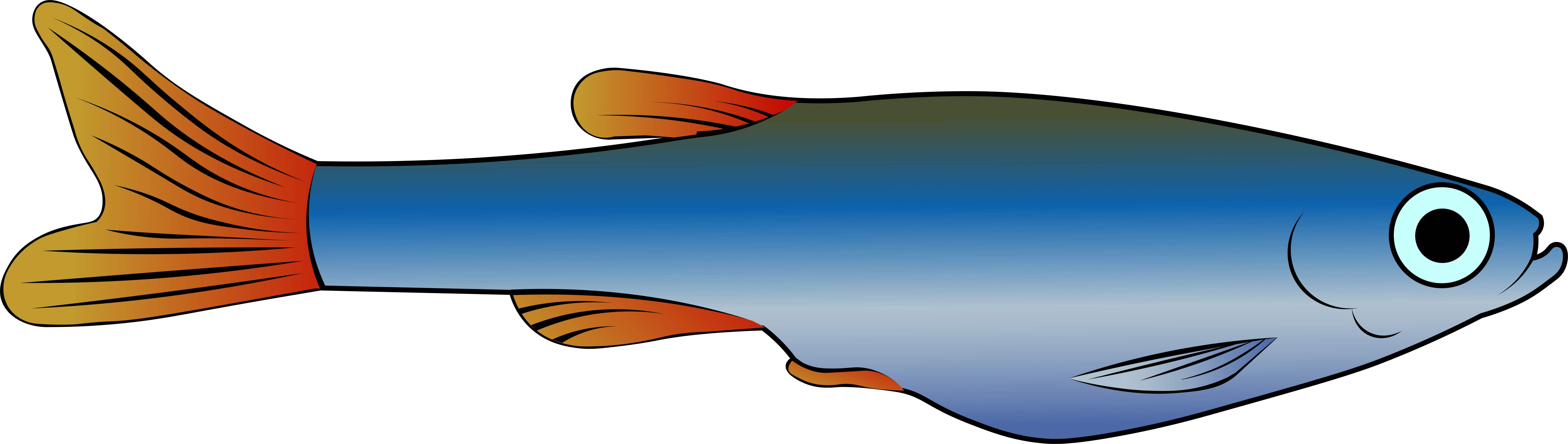 how to draw minnow fish