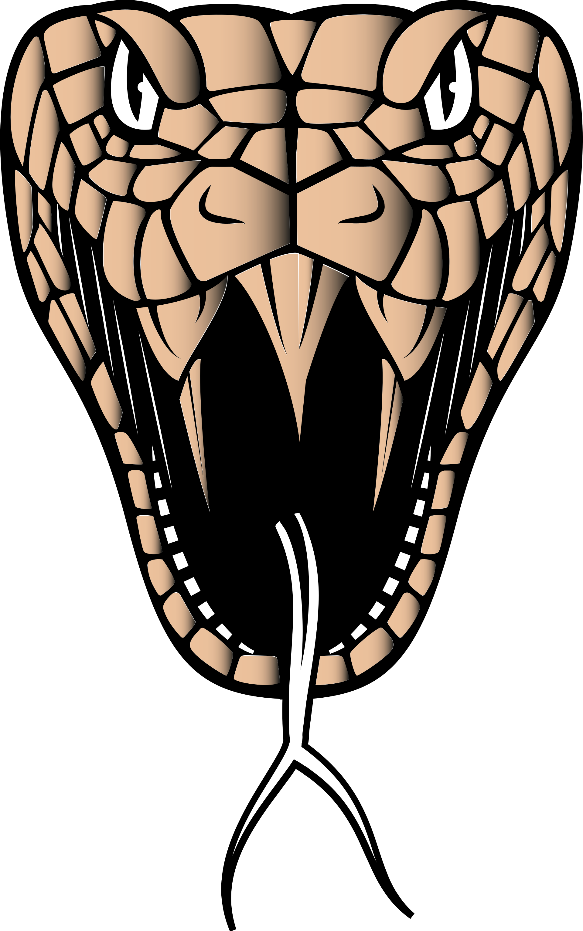 how to draw a cobra snake head